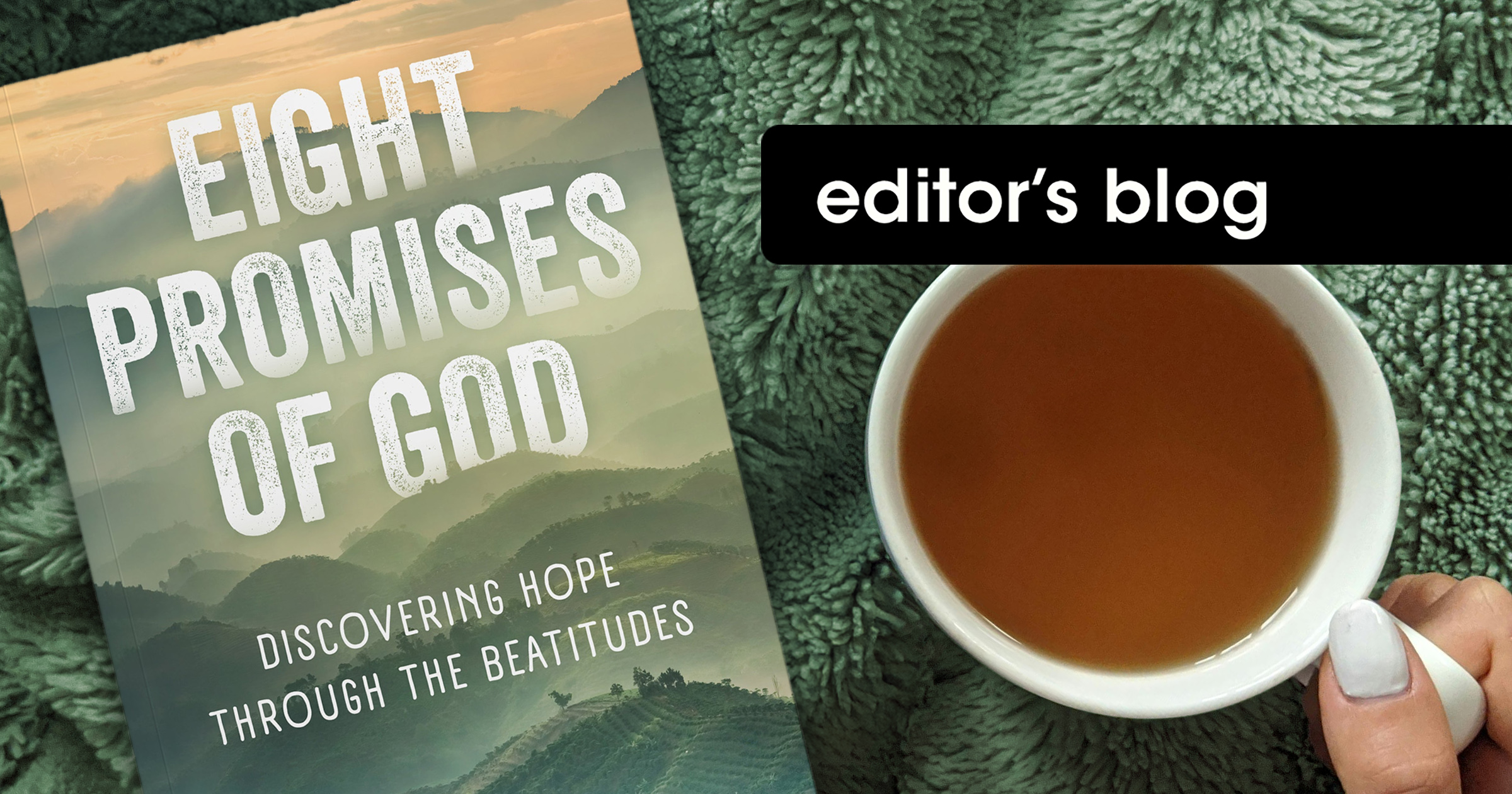 New Book Connects Beatitudes with Pro-Life Values - Celebrate Life Magazine